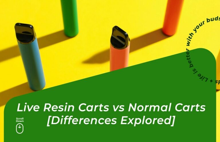 Live Resin Carts Vs Normal Carts: 4 Main Differences