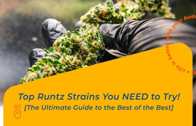 Top Runtz Strains [Discover 14 Unique Strains & Their Benefits!]